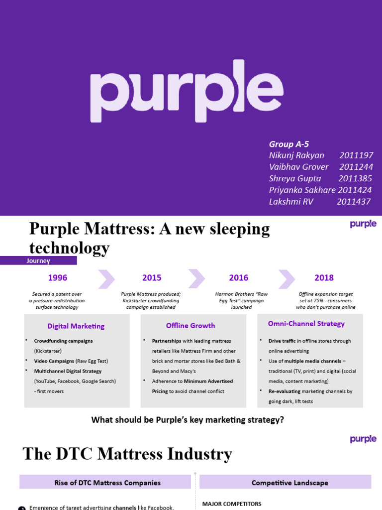 SDM - Purple Innovation - Group A-5 | PDF | Digital Marketing | Public ...