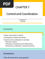 HBT Ultrasound Meaning - Google Search | PDF | Gallbladder | Liver