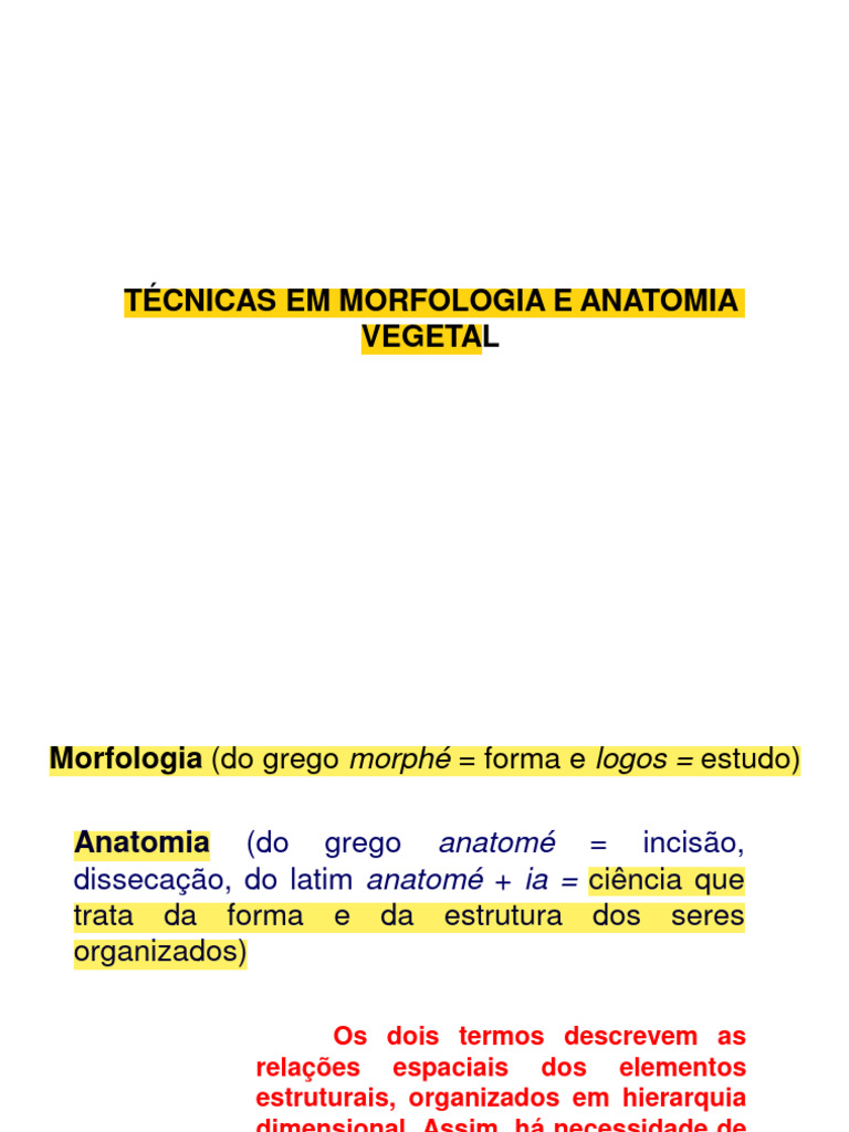 Aula 2 - Técnicas em morfologia e anatomia vegetal - Parte 1 | PDF | Morfologia vegetal ...