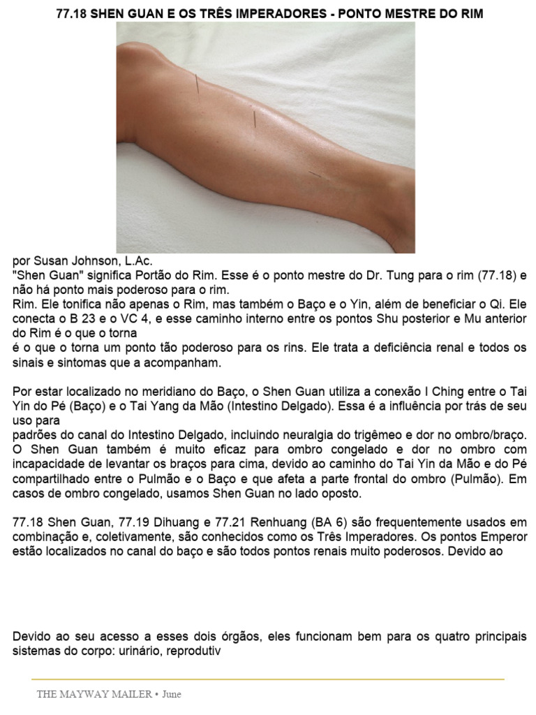 Shen Guan: Ponto Mestre do Rim | PDF