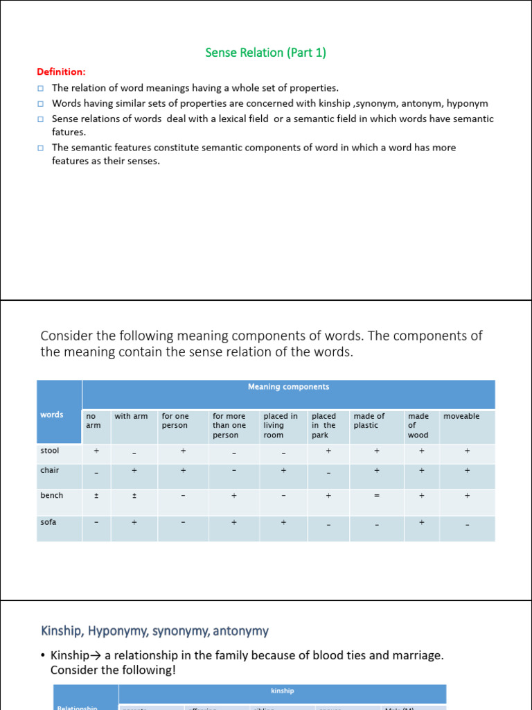CM 11 Semantics PBI 2022.1 (Sense Relation) | PDF