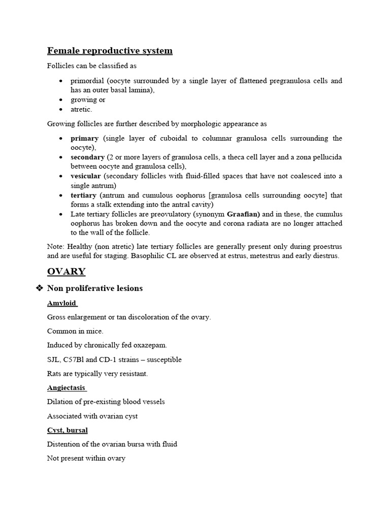 Female Reproductive System | PDF