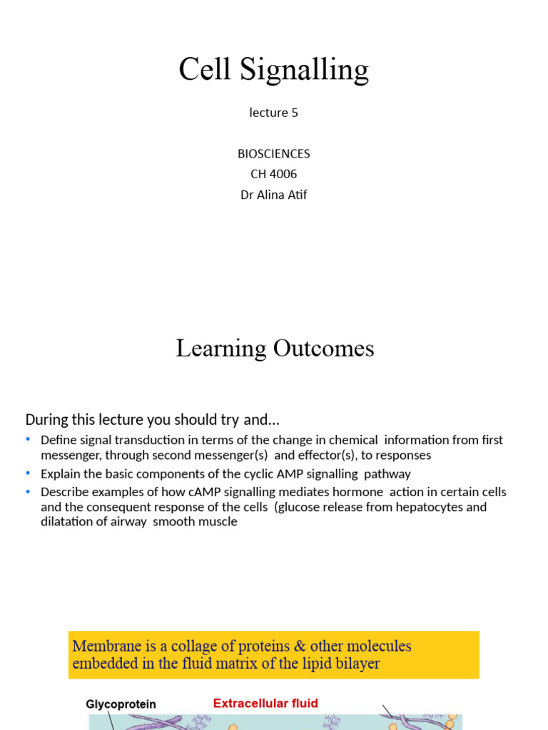 Cell Signalling Lec 5 | PDF