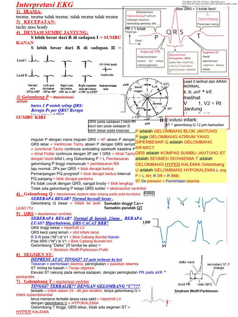 Panduan Interpretasi EKG Lengkap | PDF