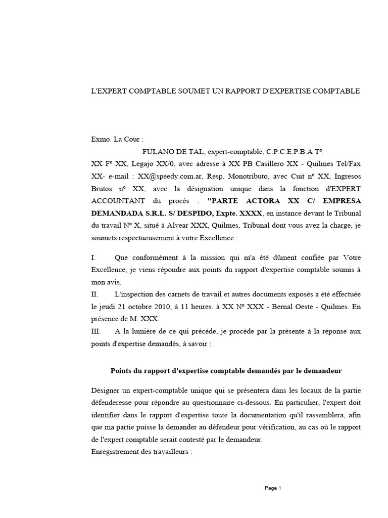 EXEMPLE DE RAPPORT DEXPERT | PDF