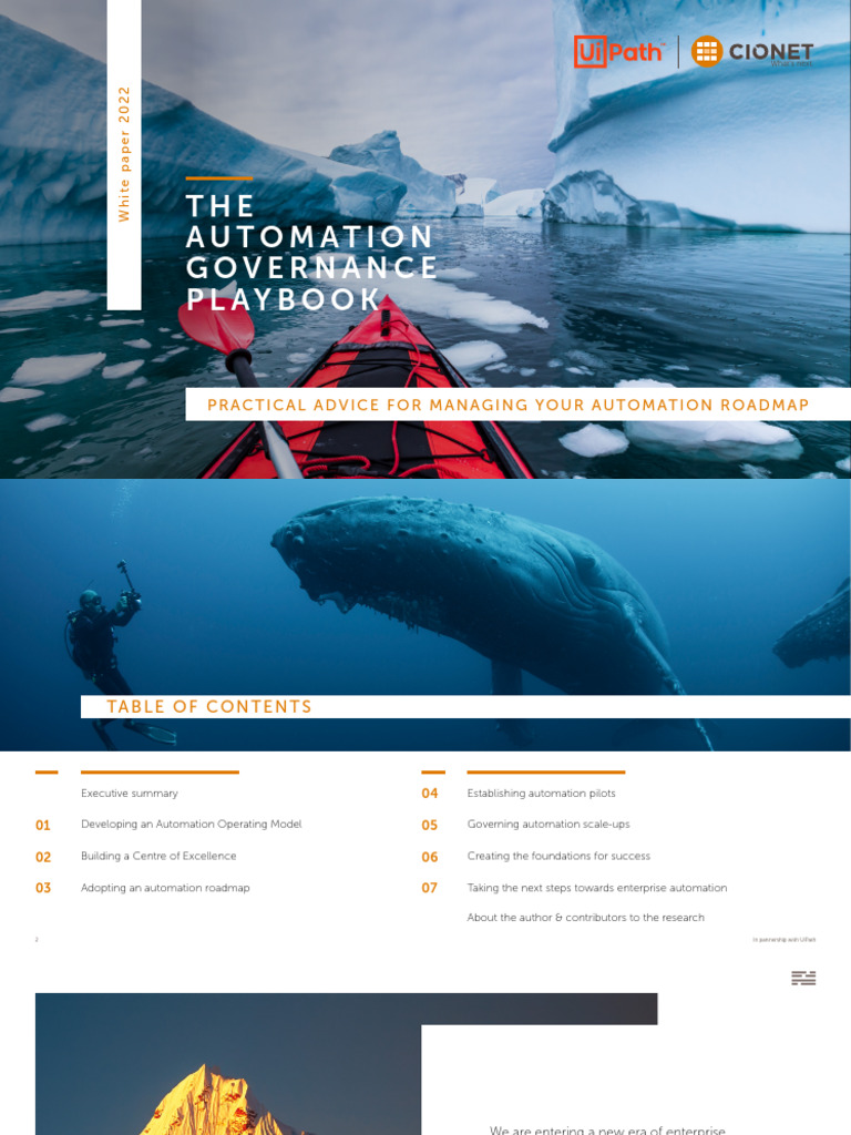 Cionet Automation Governance Playbook | PDF | Business