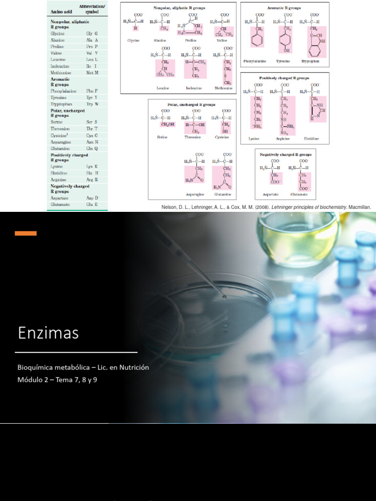 Enzimas | PDF