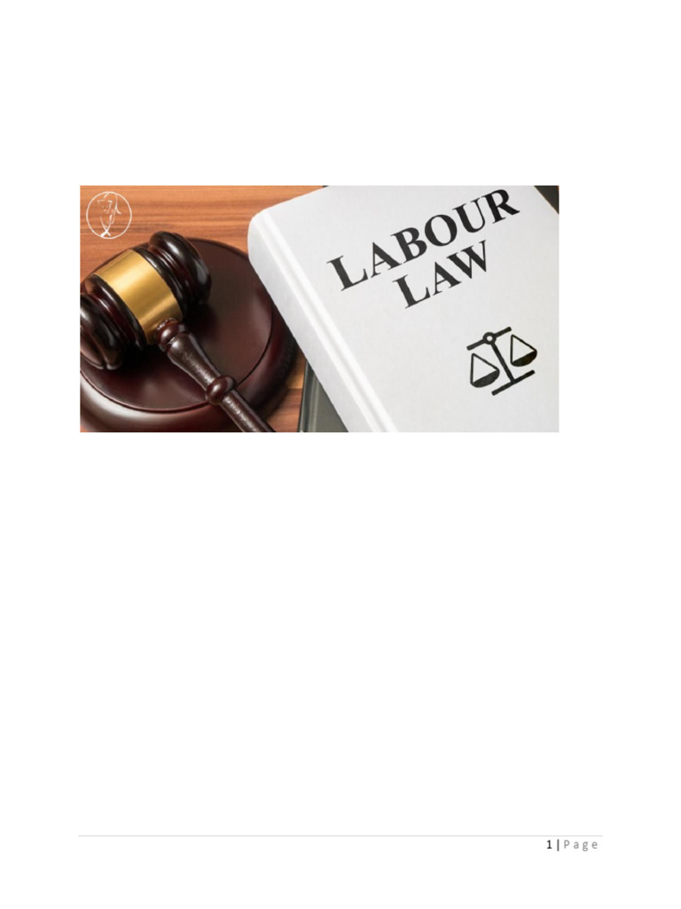 Overview of South African Labour Law | PDF | Business | Finance & Money ...