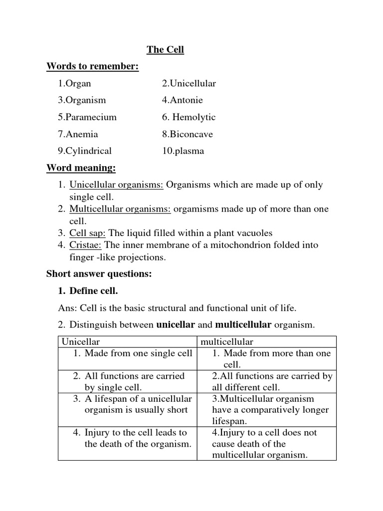 The Cell Notes Class 6 Biology Cabbrige | PDF