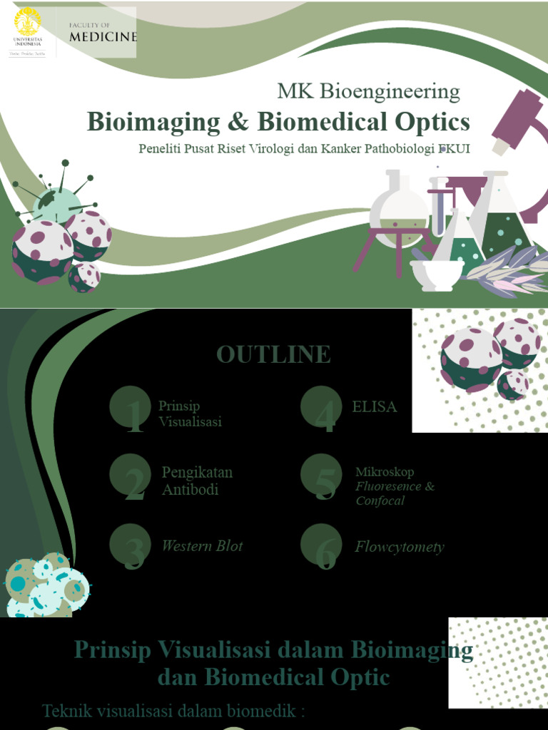 Teknik Visualisasi dalam Bioimaging | PDF