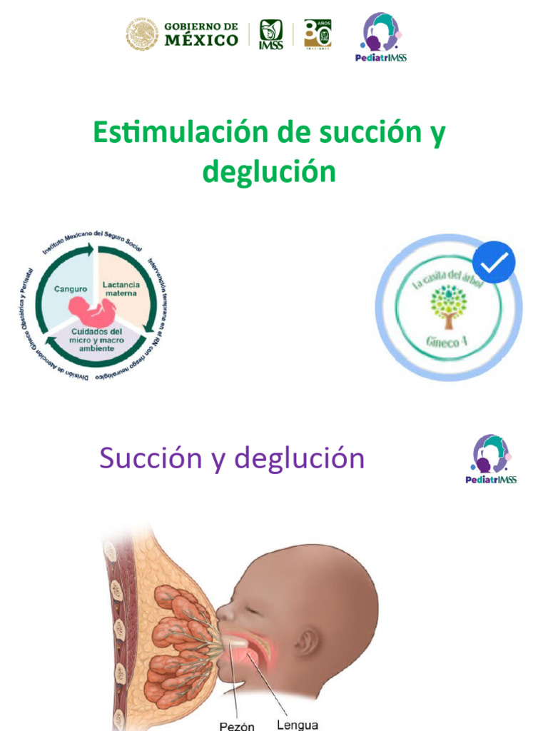 Estimulación de Succión y Deglución | PDF