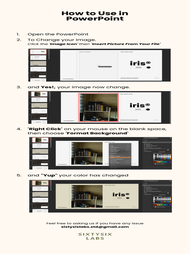 How To Use in PowerPoint | PDF
