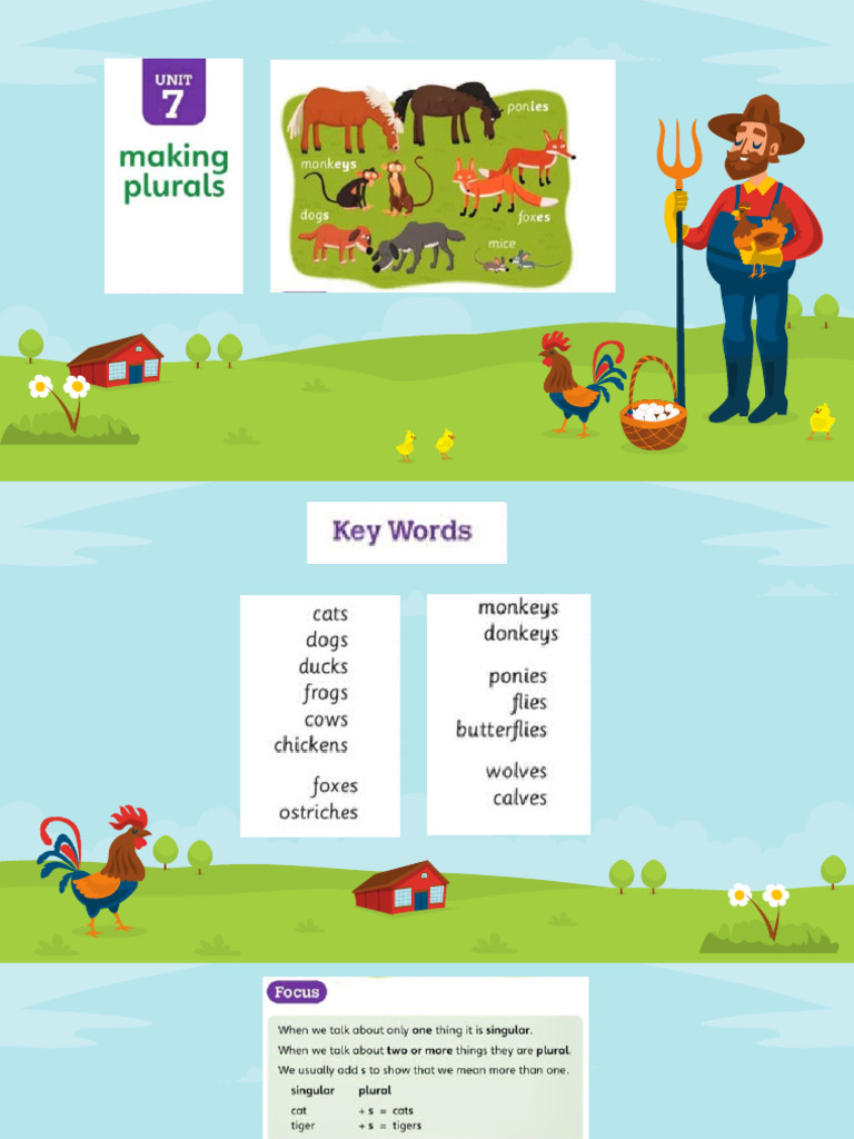 Nelson Spelling Unit 7 | PDF | Language Arts & Discipline