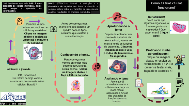 Roteiro de Aprendizagem 1 9degree Ano Ciencias | PDF | Célula (Biologia ...