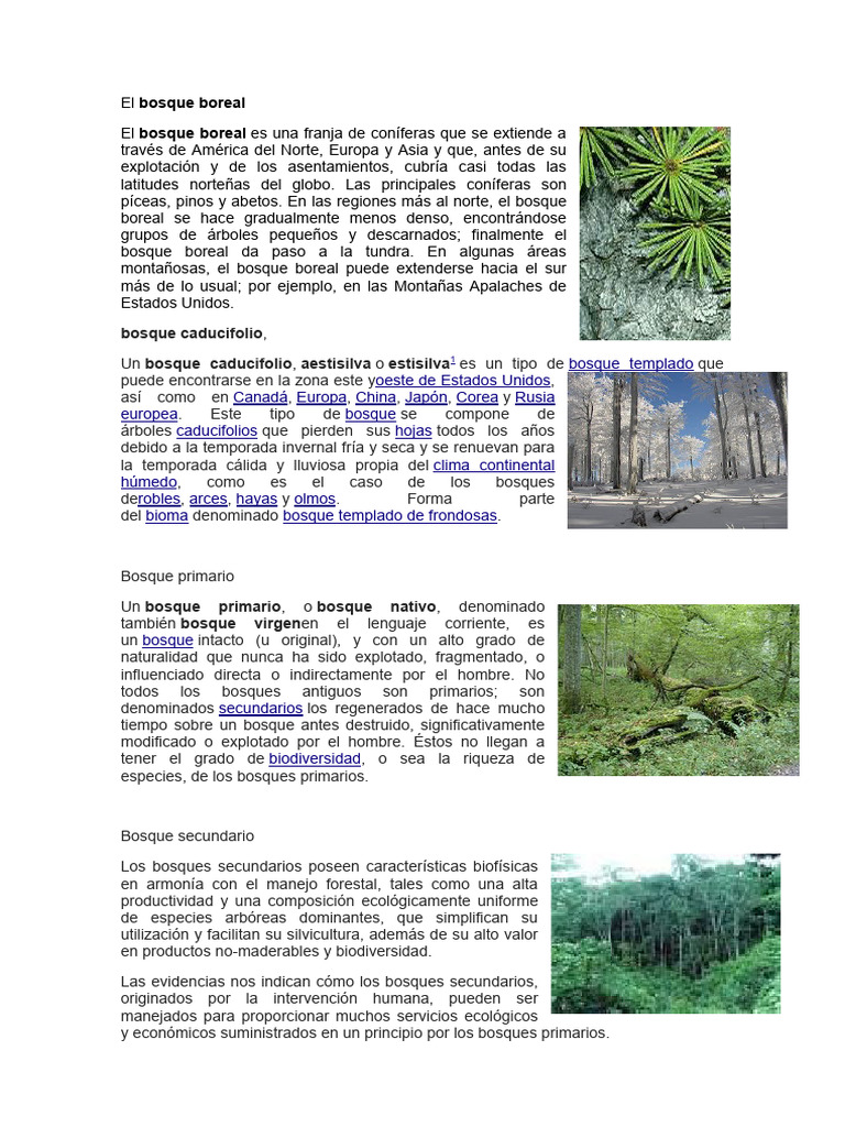 Tipos de Bosques | PDF | Los bosques | Zona tropical