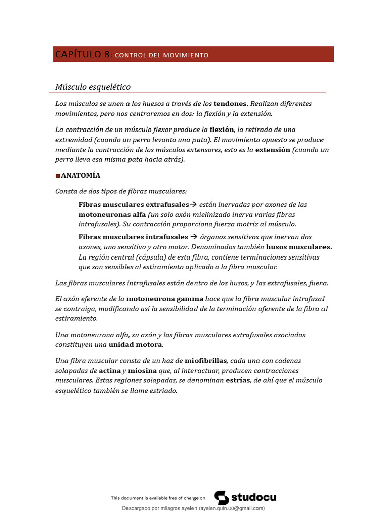 Capítulo 8 Control Del Movimiento. Resumen | PDF | Neurona motora | Músculo esquelético