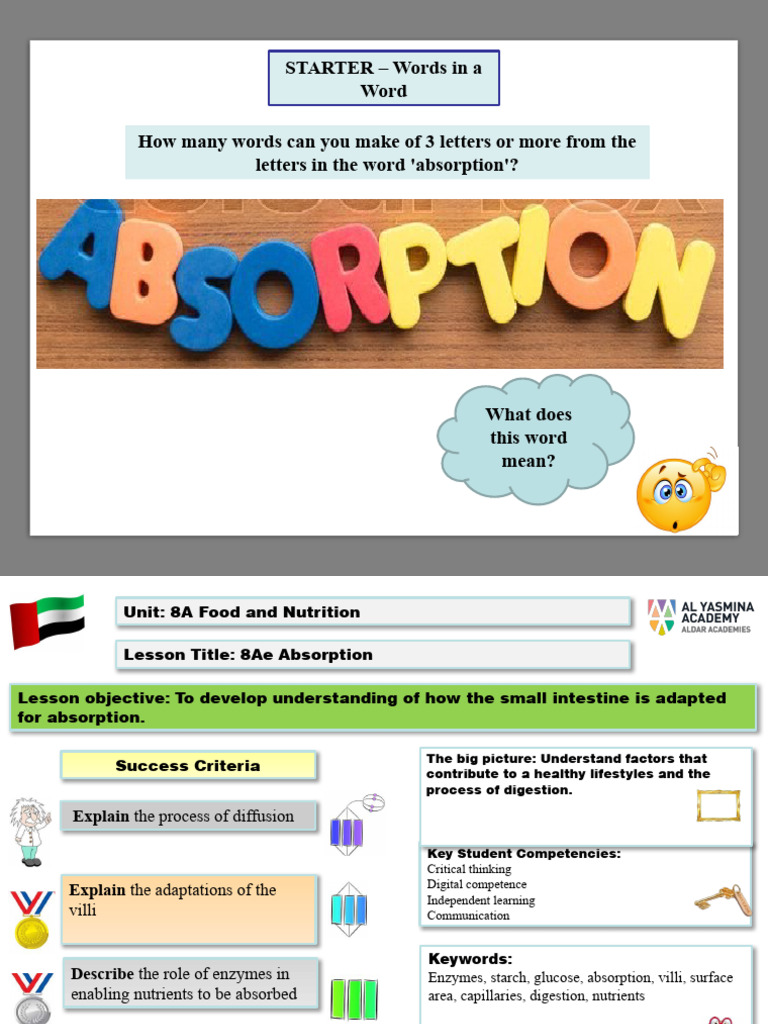 Lesson 5 - 8ae Absorption | PDF | Small Intestine | Digestion