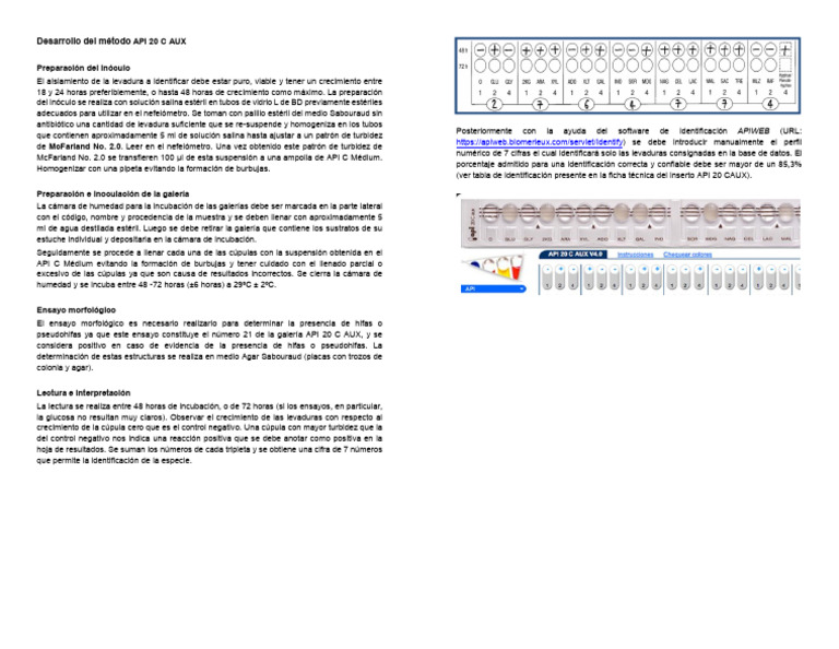 API 20 C AUX Protocolo en Español | PDF | Ciencia y matemáticas