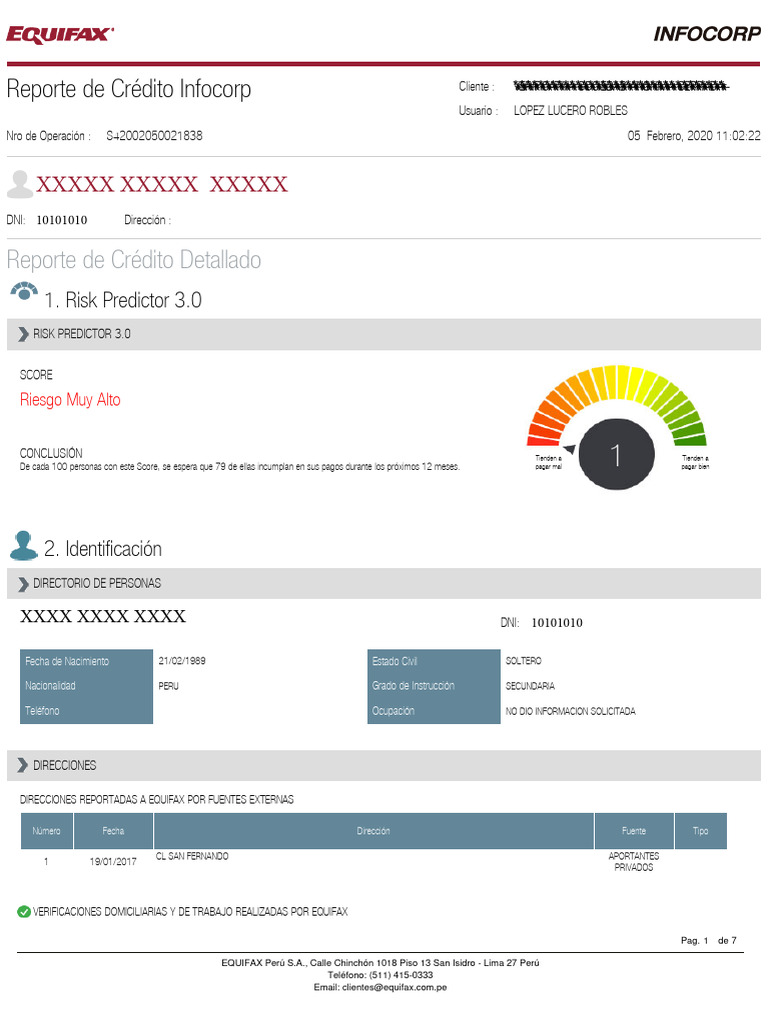 Modelo Reporte Crediticio y Financiero | PDF | Responsabilidad ...