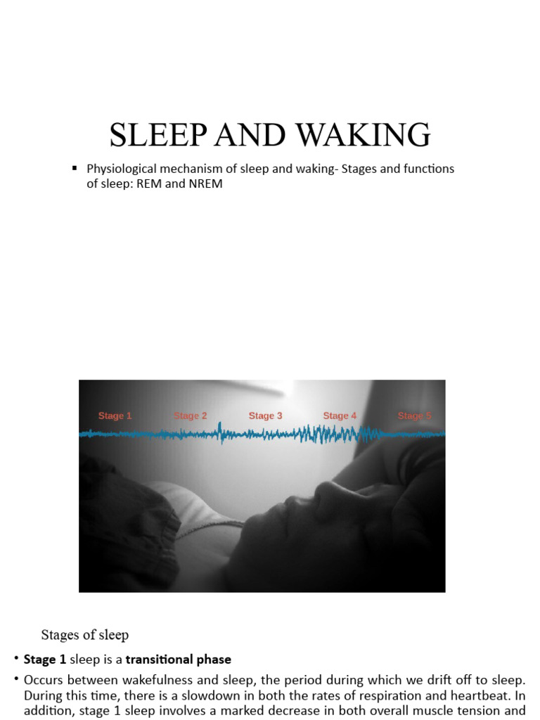 Sleep and Waking | PDF | Sleep | Circadian Rhythm