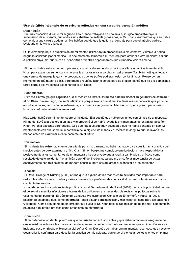 Ejemplo de Gibbs | PDF | Enfermería | Liderazgo