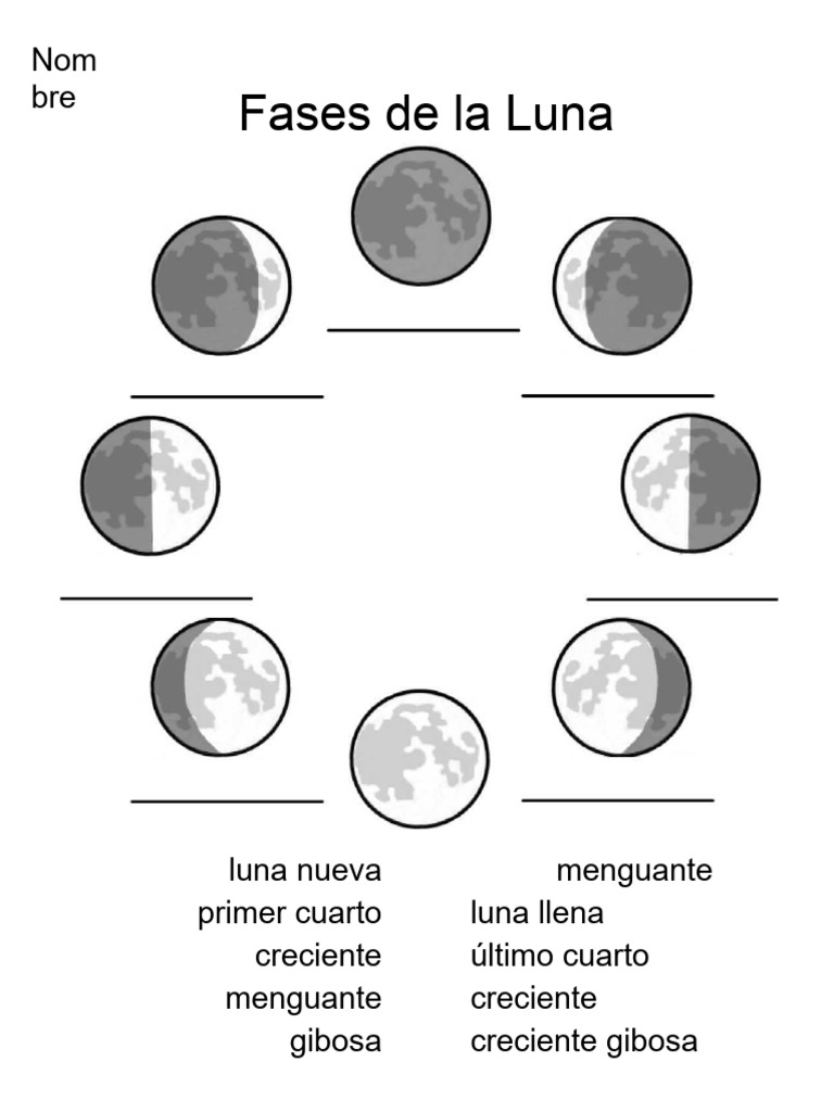Fases de La Luna | PDF | Naturaleza | Fenómenos Periódicos