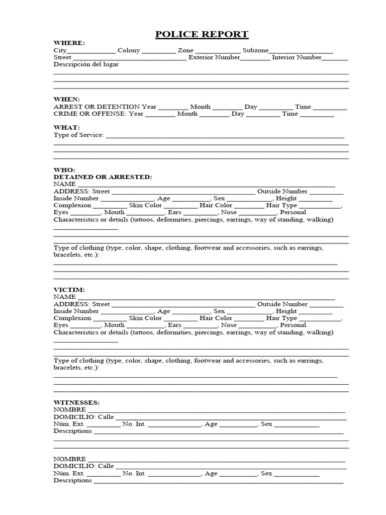 Police Report (Format) | PDF