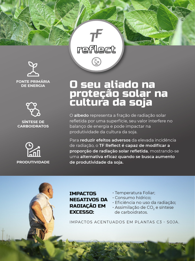 Folder TF Reflect | PDF