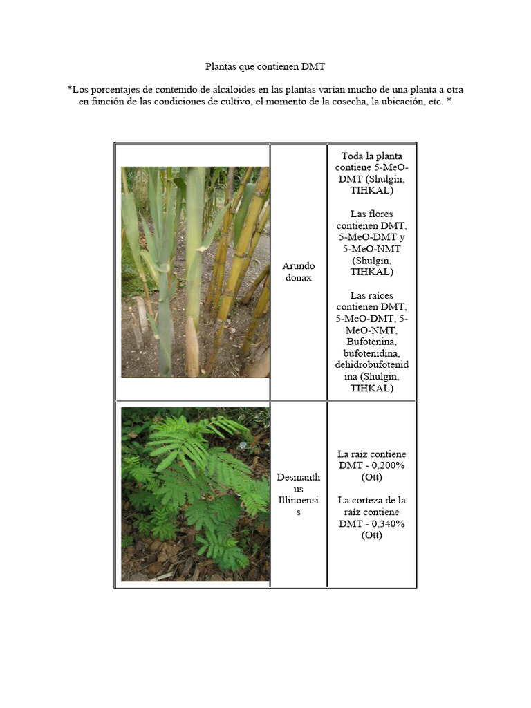 Plantas que contienen DMT | PDF | Arboles | Australia