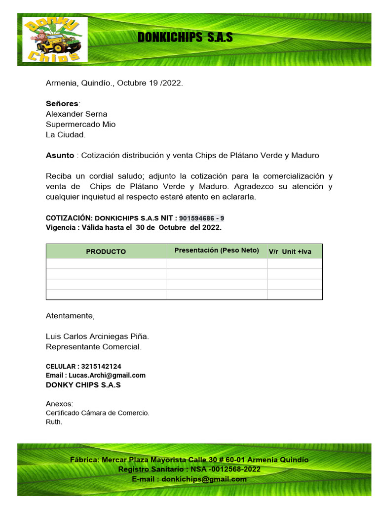 Formato Modelo Cotizacion | PDF