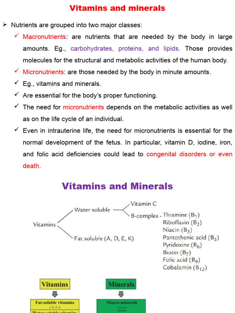 Vitamins and Minerals Overview | PDF | Vitamin | Nutrients