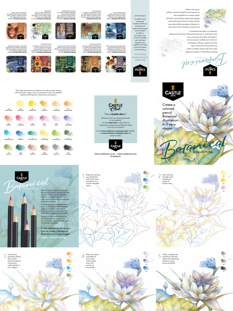 Botanical Illustration Guide in 5 Steps | PDF | Paintings | Impressionism