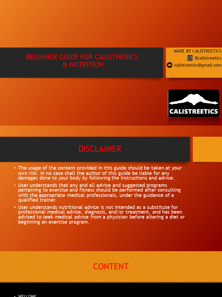 Beginner Calisthenics | PDF