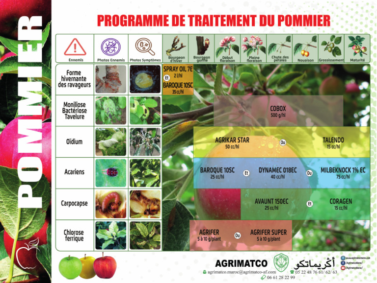 Programme de Traitement Pommier | PDF