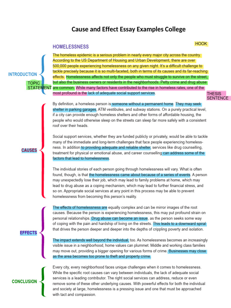 Cause and Effect Essay | PDF | Homelessness