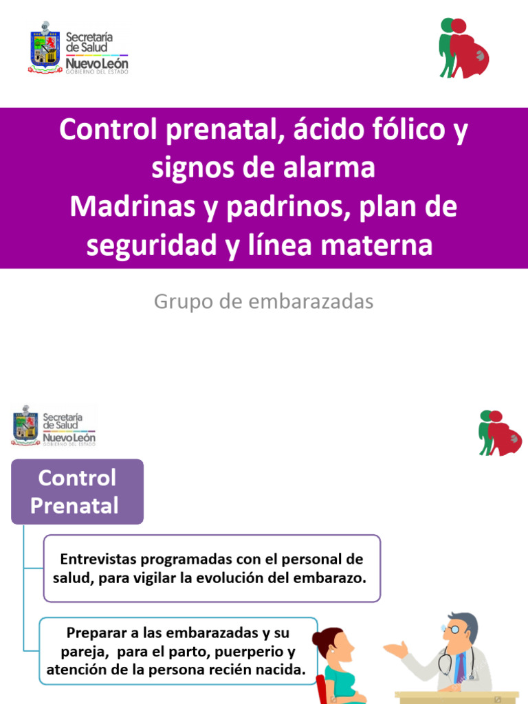 Sesión 1 (CPN, Signos de Alarma, Madrinas y Plan de Seguridad) | PDF