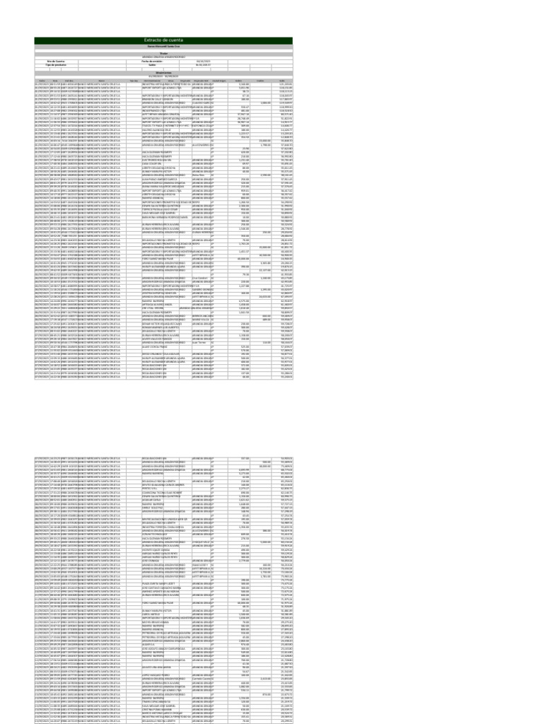 Account Movements Detail | PDF