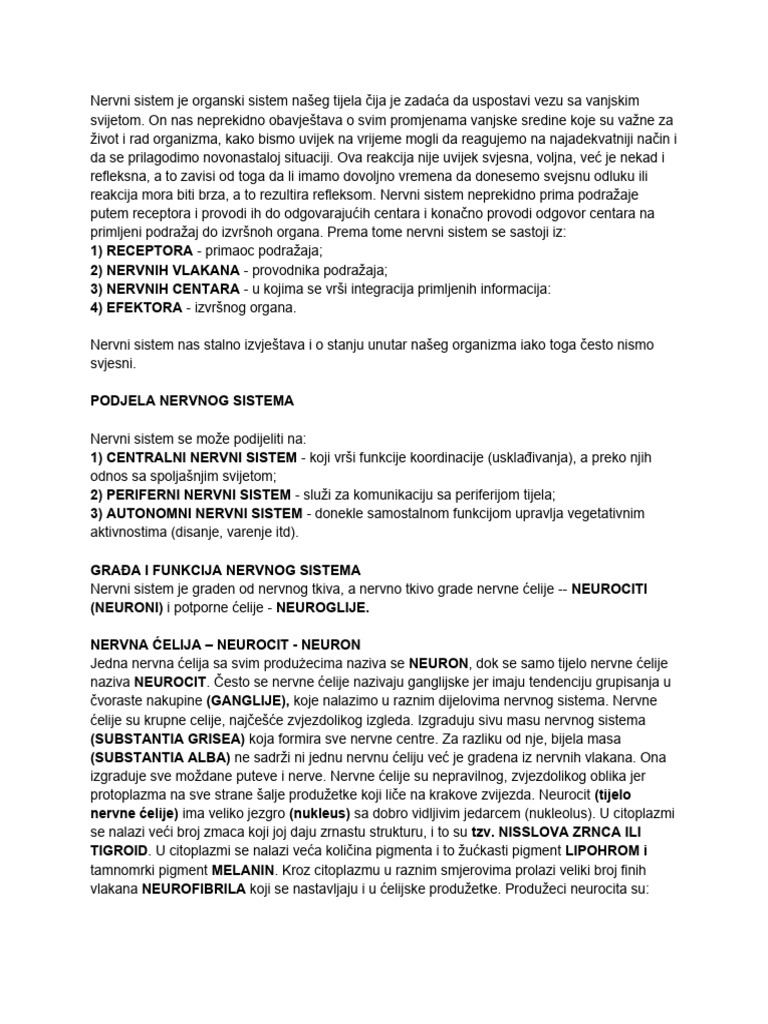 Anatomijaaa Neurologija Odg | PDF