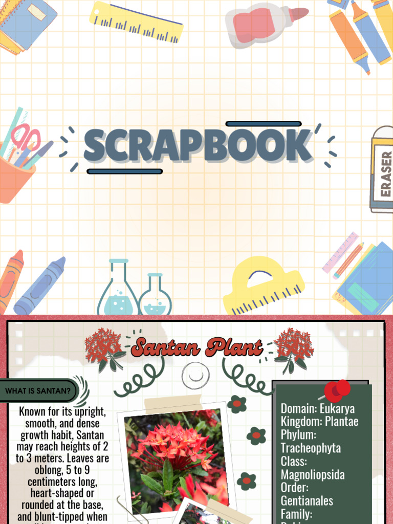 Gen Bio - Scrapbook | PDF