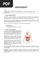 Digestión: Bolo, Quimo y Quilo | PDF | Digestión | Tracto gastrointestinal