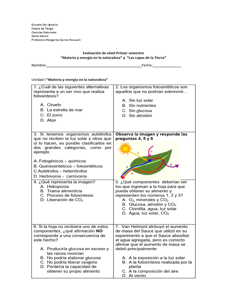 Examen de Nivel Primer Semestre Fotosintesis y Capas | PDF | Tierra ...