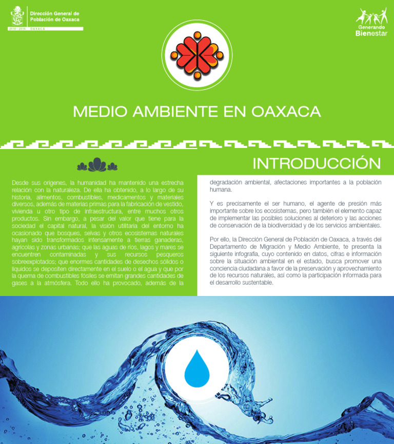 Infografia Medio Ambiente | PDF Infografia Medio Ambiente | PDF