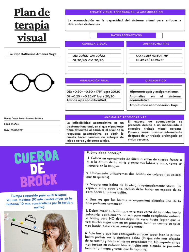 Plan de terapia visual | PDF | Visión | Sistema visual
