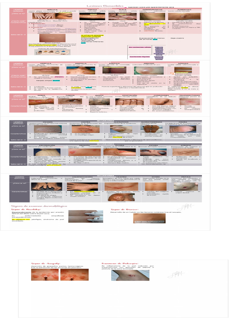 Resumenes Dermato | PDF | Piel | Psoriasis
