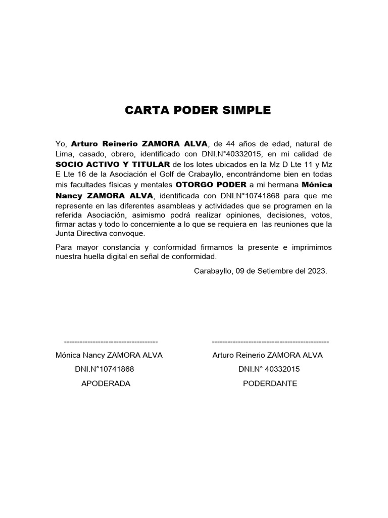 Declaracion Jurada Simple | PDF | Gobierno