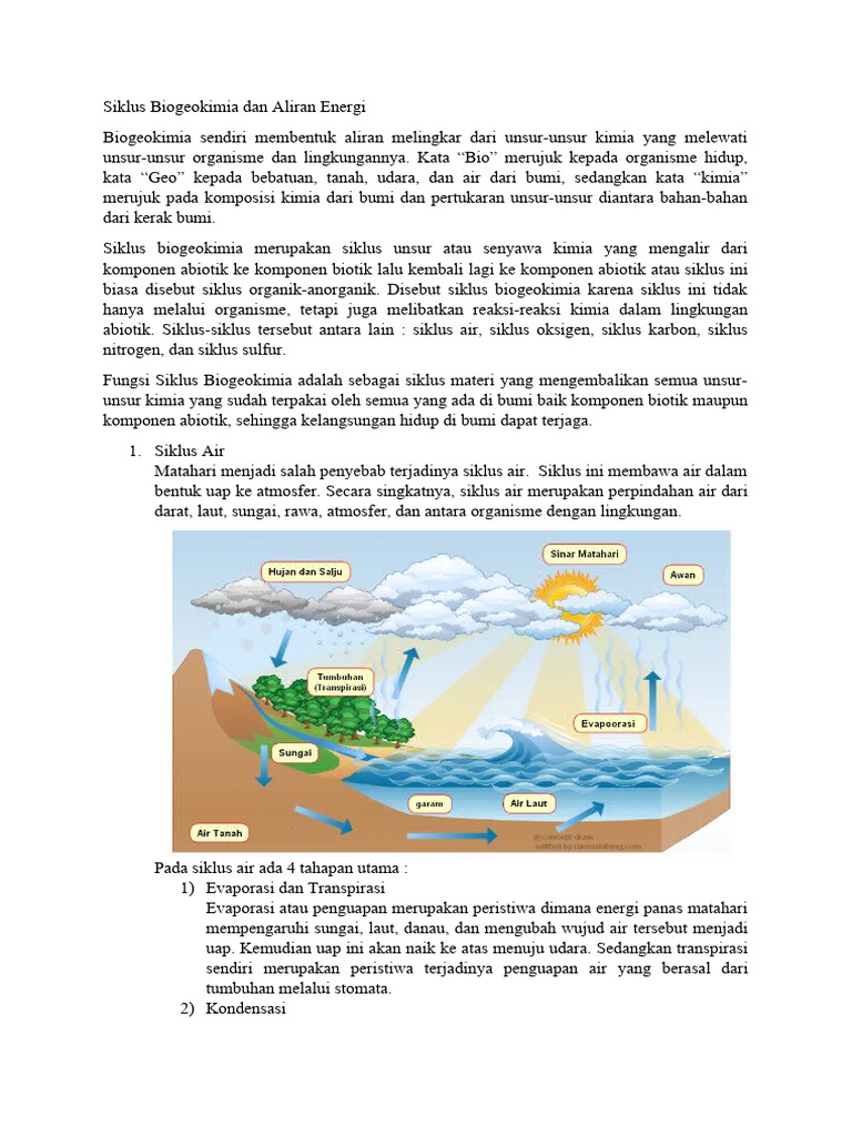 Siklus Biogeokimia Dan Aliran Energi Pdf