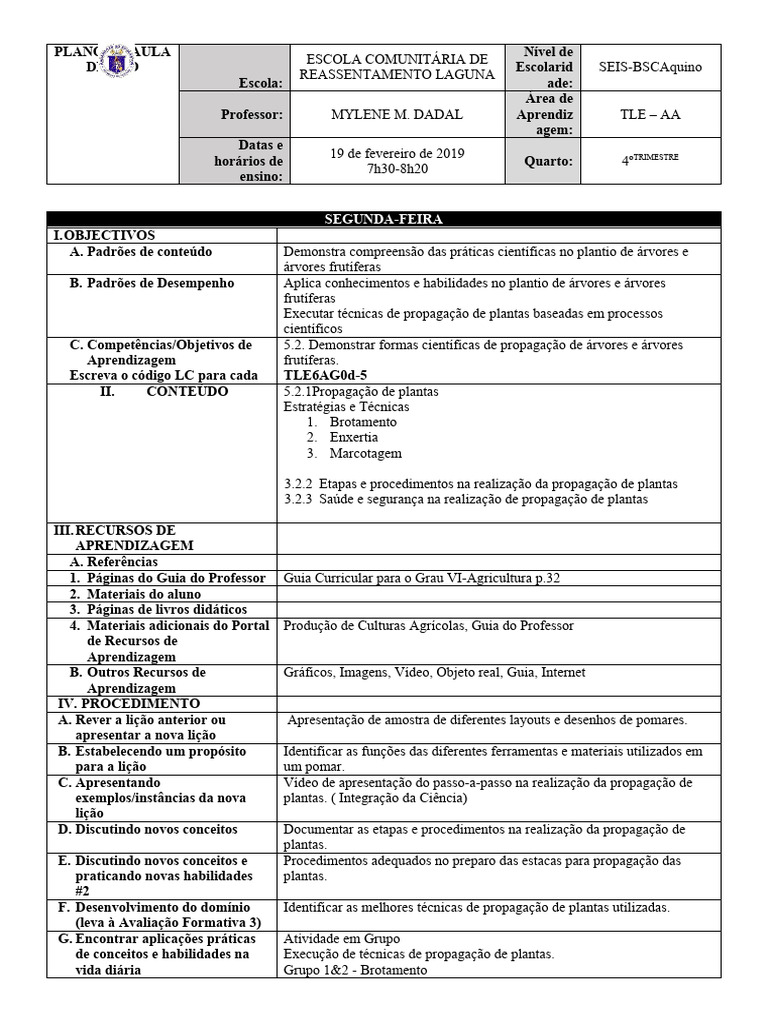 Plano de Aula Diário | PDF | Lição | Aprendizado