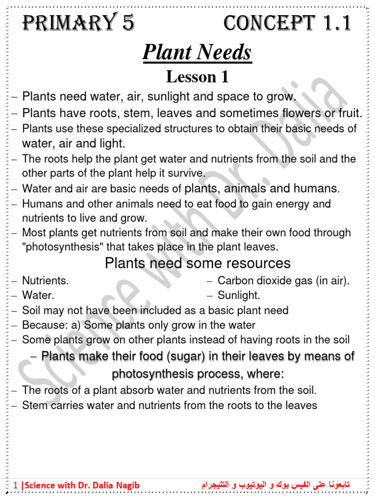 Plants | PDF