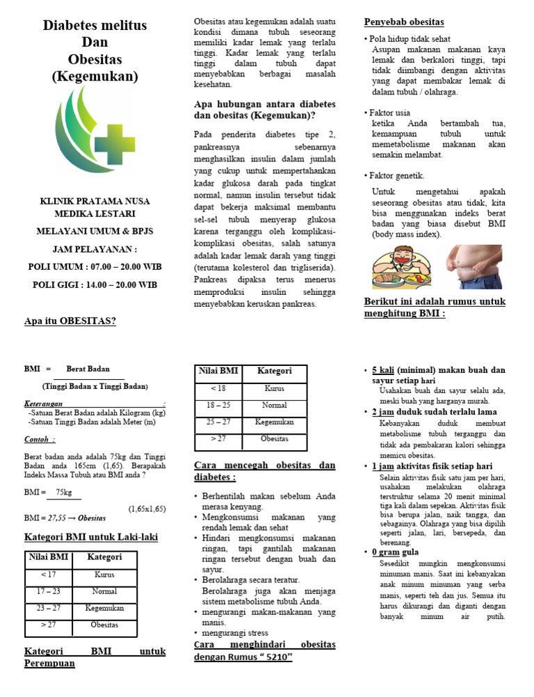 Leaflet OBESITAS | PDF | Kesehatan Holistik