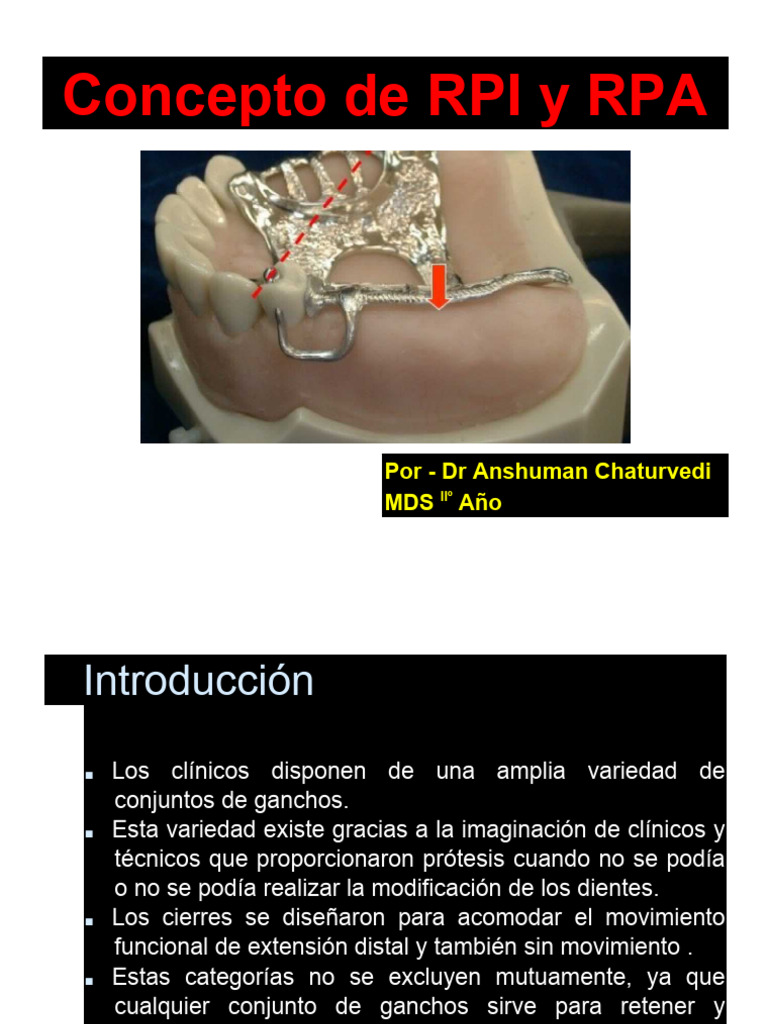 Concepto de RPI y RPA | PDF